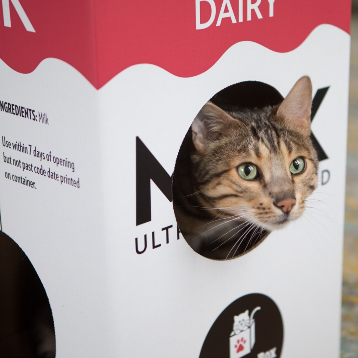 Mega Milk Carton - Etsy