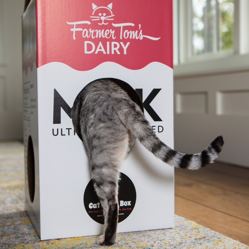 Mega Milk Carton - Etsy