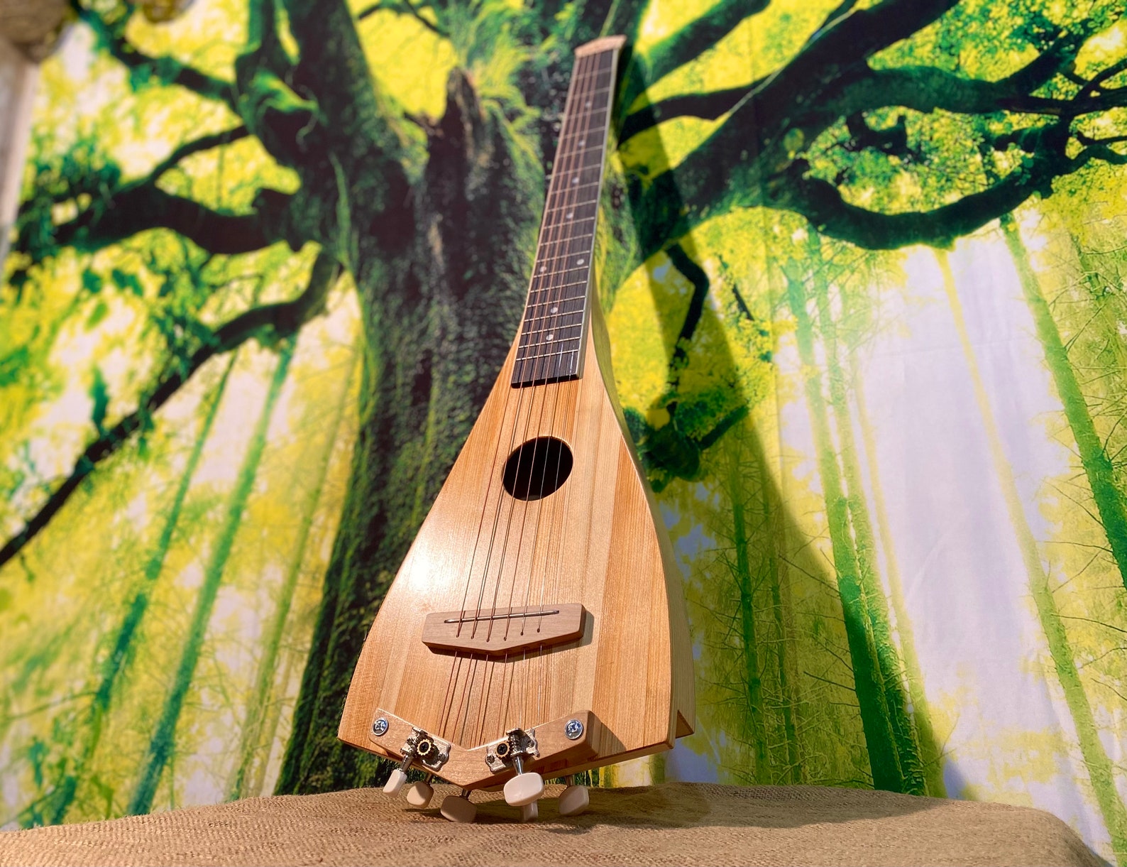 Travel Guitar Stick Backpacking 6 String Acoustic Mini Musical ...