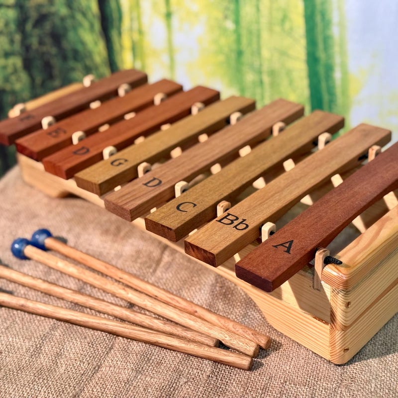 Xylophone Eco Friendly - Etsy