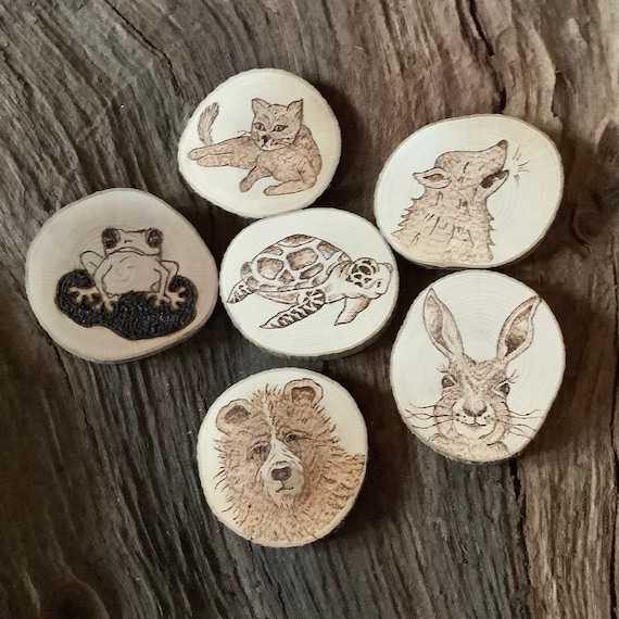 Animales tótem Animales de poder Animal espiritual Discos - Etsy España