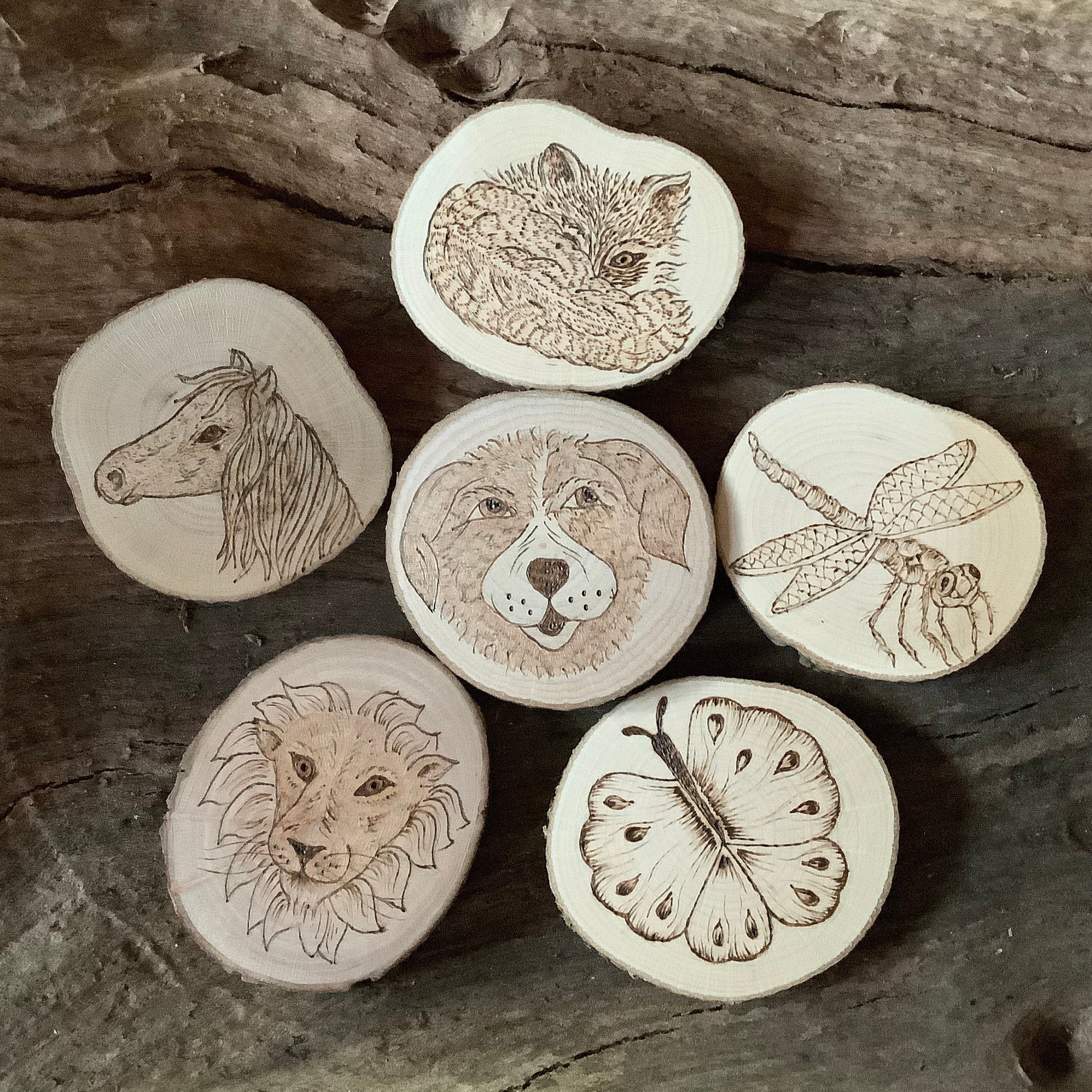 Power Animals Spirit Animal Totem Animal Wooden Discs - Etsy