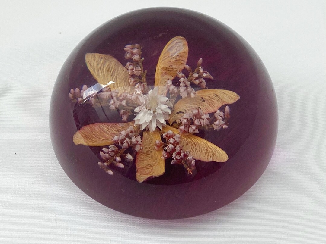 Vintage Midton Crafts Lucite Acrylic Paperweight Sycamore Fruits - Etsy