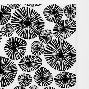 Lomi 'opihi | Fine Art Print - Etsy