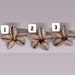 Cowrie Flower Rings - Etsy