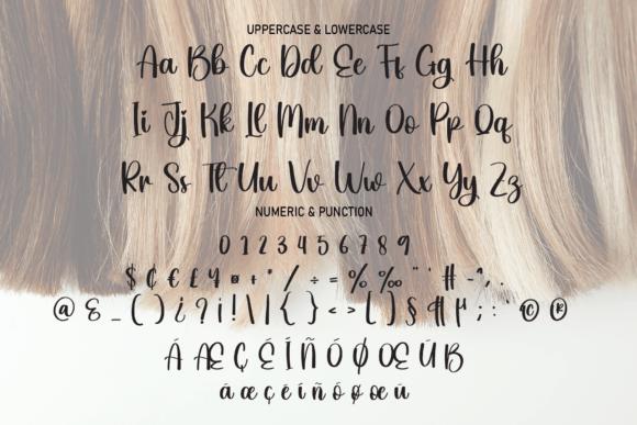 Thick Font, Serif Font, Handwritten Font, Calligraphy Font, Digital ...