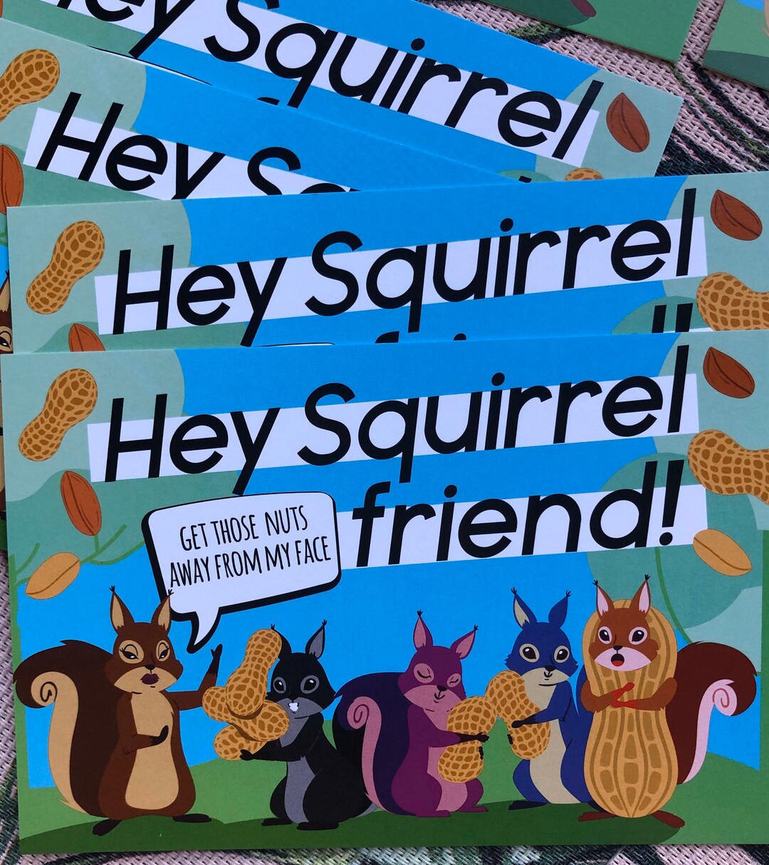 Pack of 6 Cards-hey Squirrel Friend Get Those Nuts Away From My Face ...