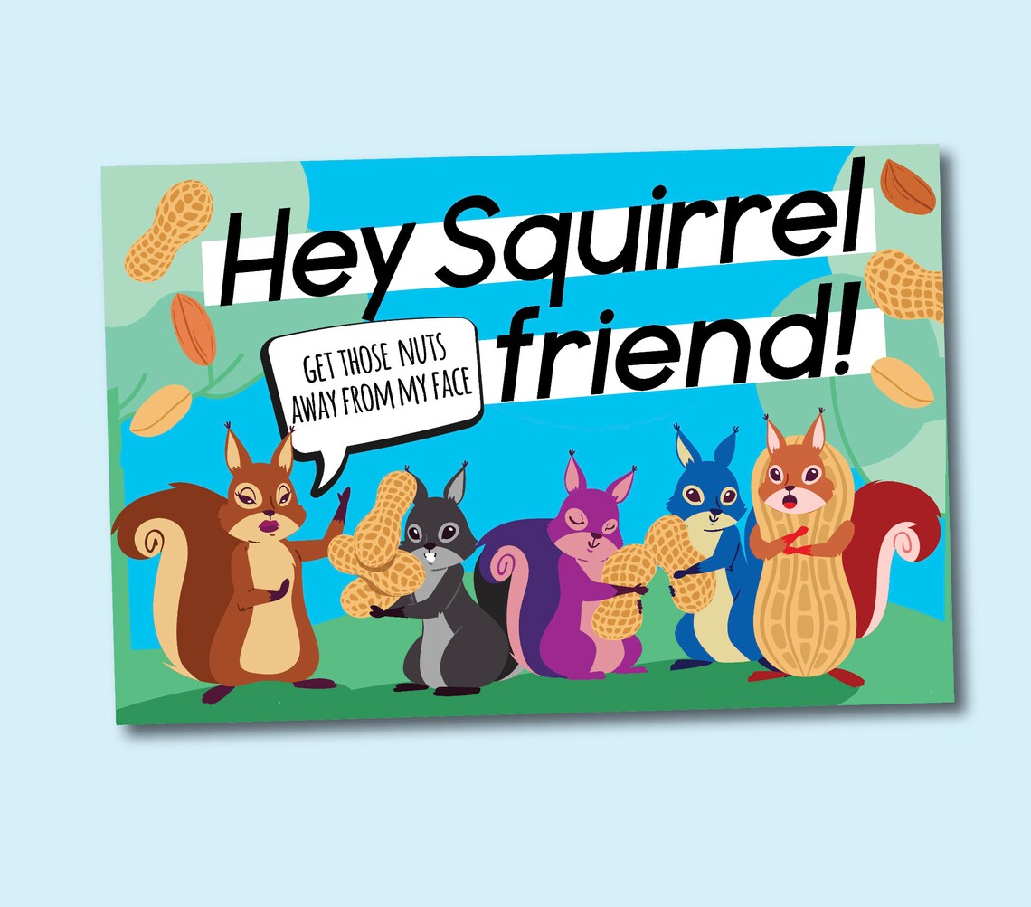 Pack of 6 Cards-hey Squirrel Friend Get Those Nuts Away From - Etsy