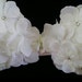 Life in Color Rave Bra - Etsy