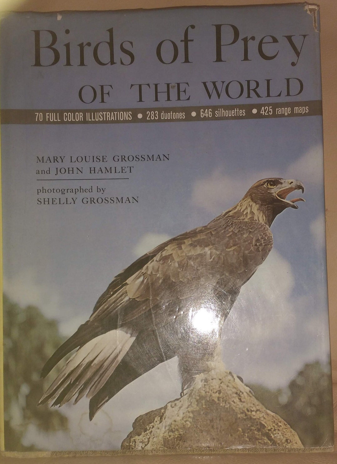Birds of Prey of the World by Mary Louise Grossman - Etsy