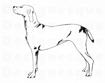 Pointer dog clipart | Etsy