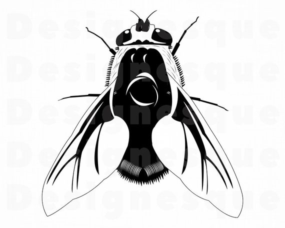 Fly 3 SVG Fly Svg Flies Svg Insect Svg Fly Clipart Fly | Etsy