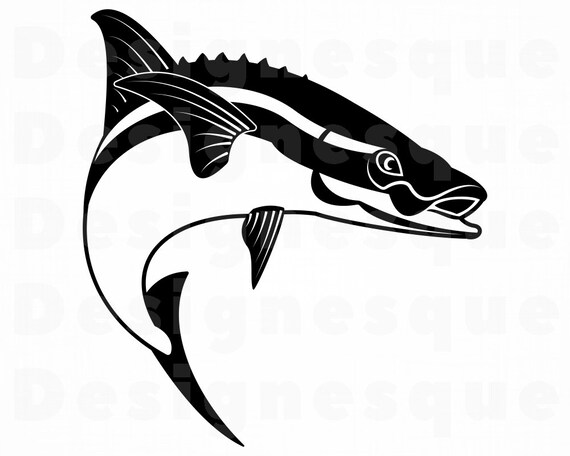 Cobia SVG Fishing Svg Fish Svg Fishing Clipart Fishing | Etsy