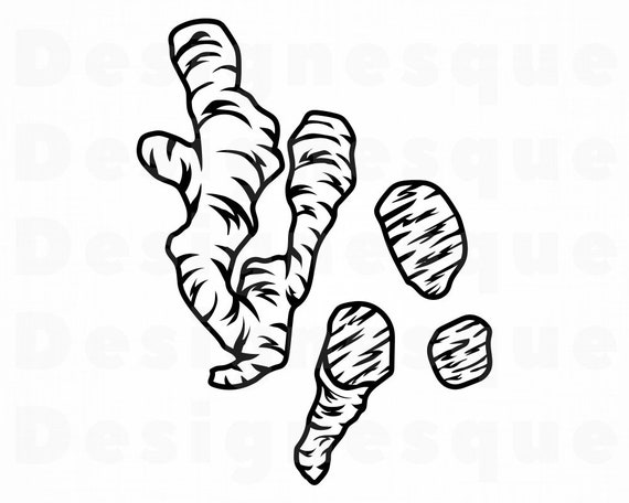 Ginger SVG Ginger Clipart Ginger Files for Cricut Ginger | Etsy
