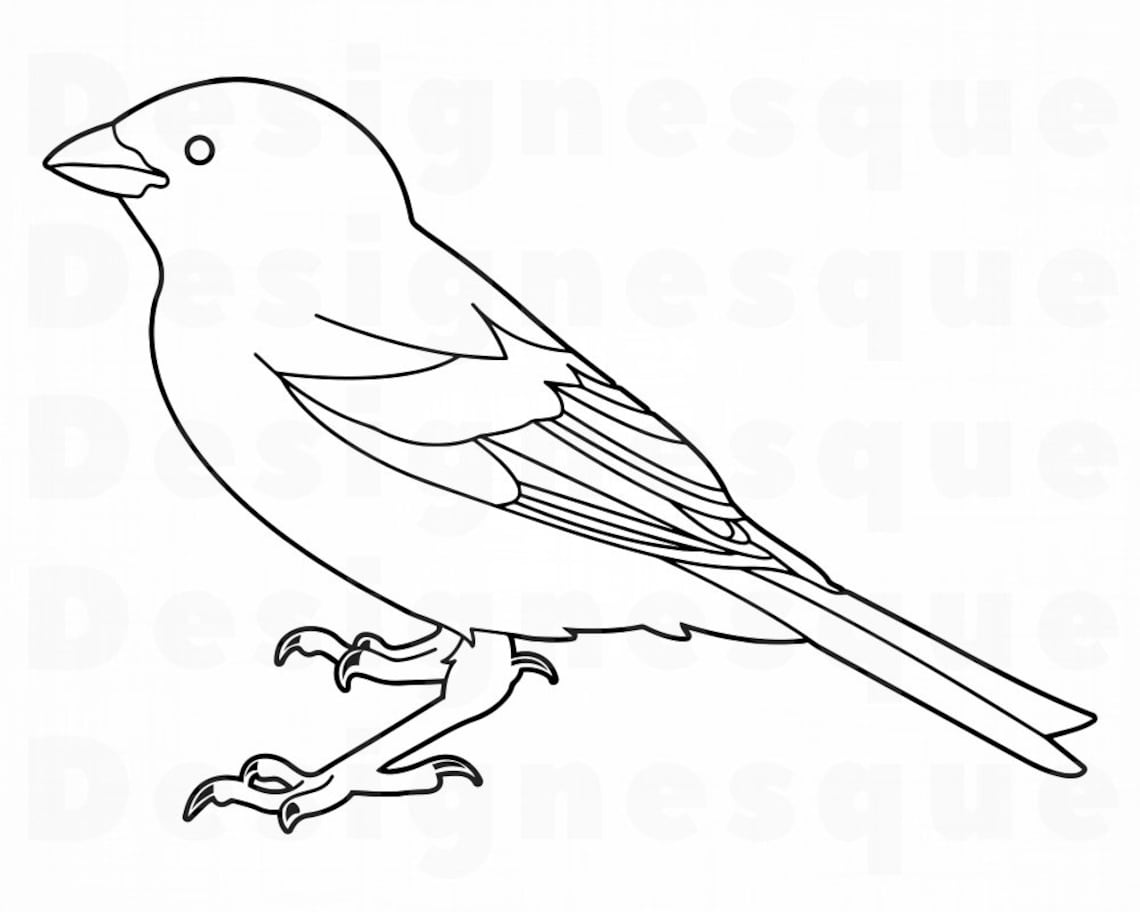 Sparrow Outline SVG Sparrow SVG Bird Svg Sparrow Clipart | Etsy