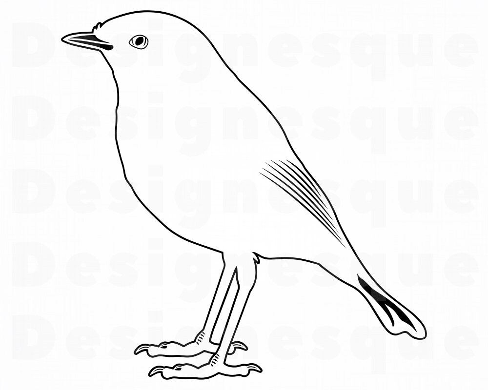 Robin Bird Outline SVG Robin Bird SVG Robin Bird Clipart | Etsy