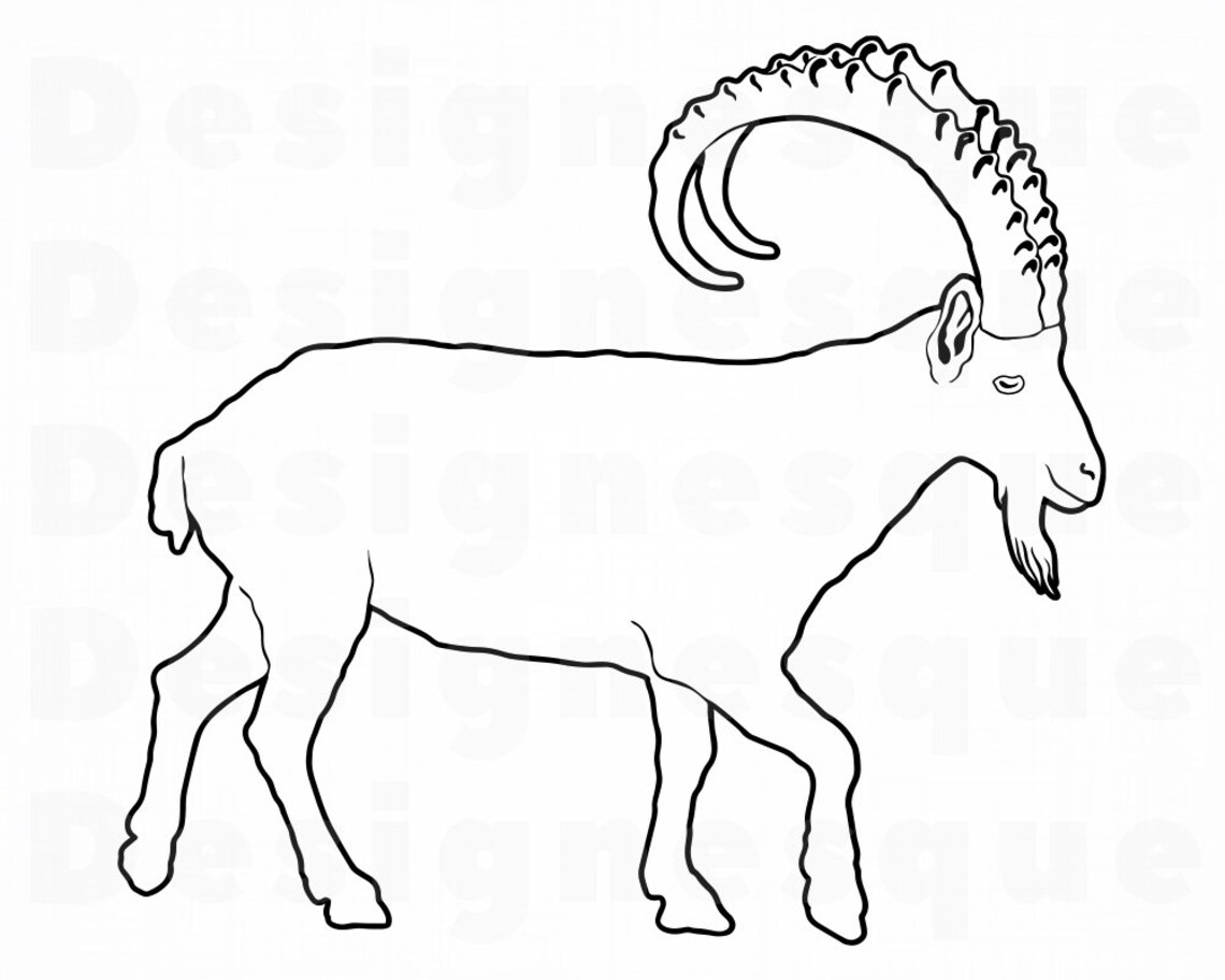 Ibex Outline SVG Ibex SVG Safari Animals Svg Ibex Clipart | Etsy