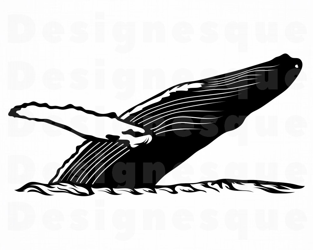 Humpback Whale 6 SVG Humpback Whale SVG Humpback Whale | Etsy