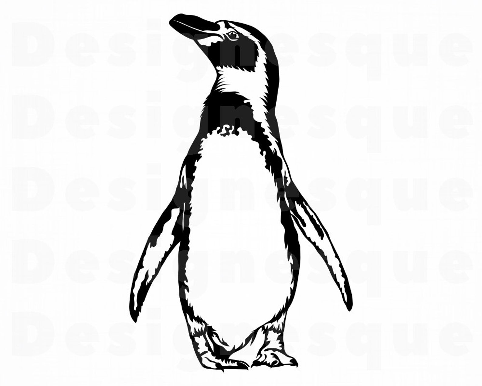 Humboldt Penguin SVG Penguin Svg Penguin Clipart Penguin | Etsy Humboldt Penguin SVG Penguin Svg Penguin Clipart Penguin | Etsy