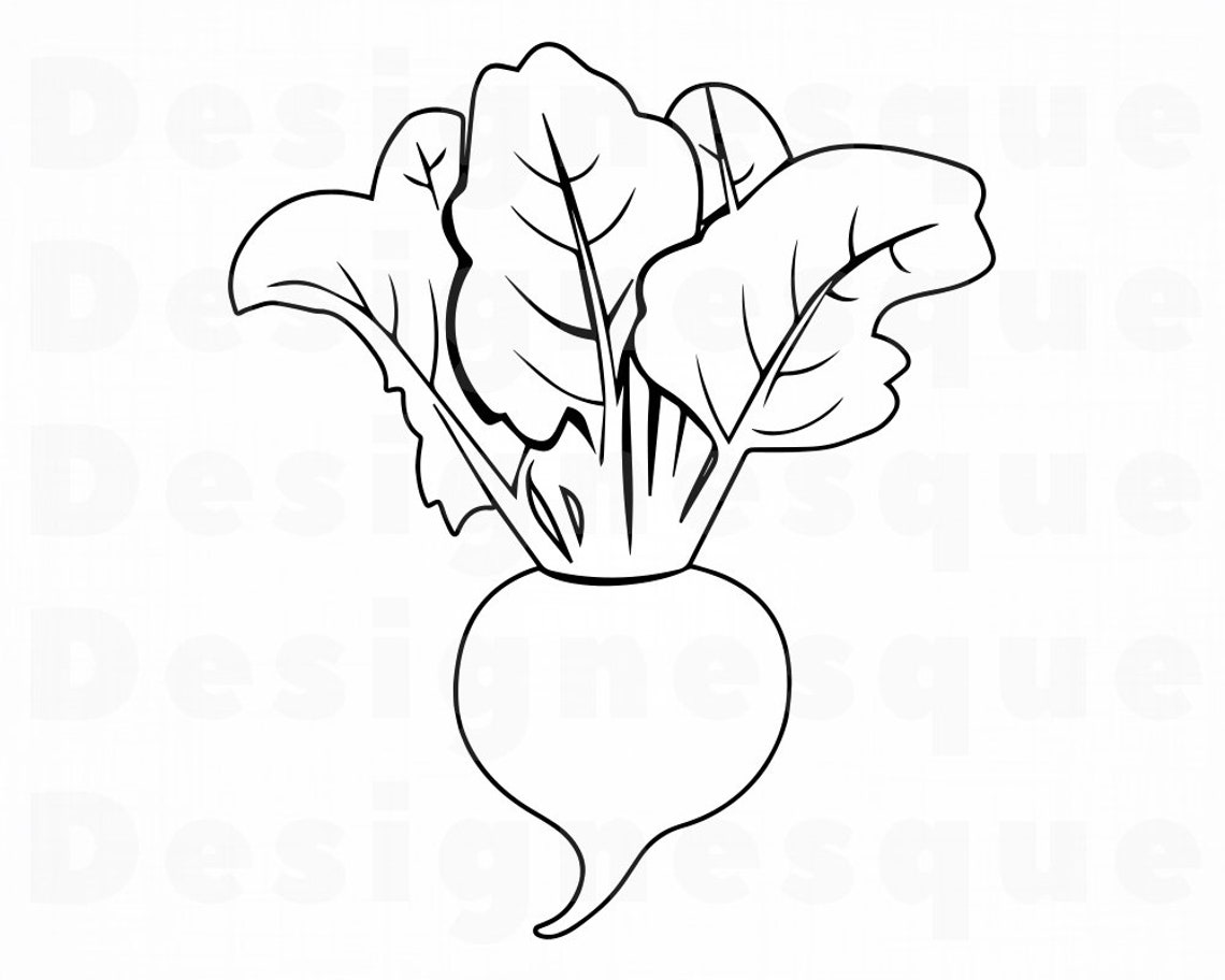 Beetroot Outline SVG Beetroot SVG Vegetable Svg Beetroot | Etsy