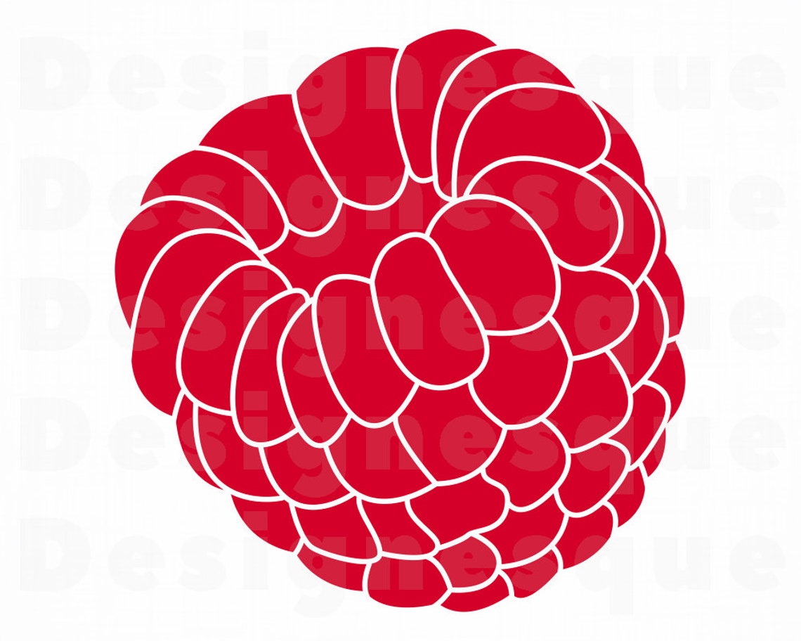 Raspberry SVG Fruit Svg Raspberry Clipart Raspberry Files | Etsy