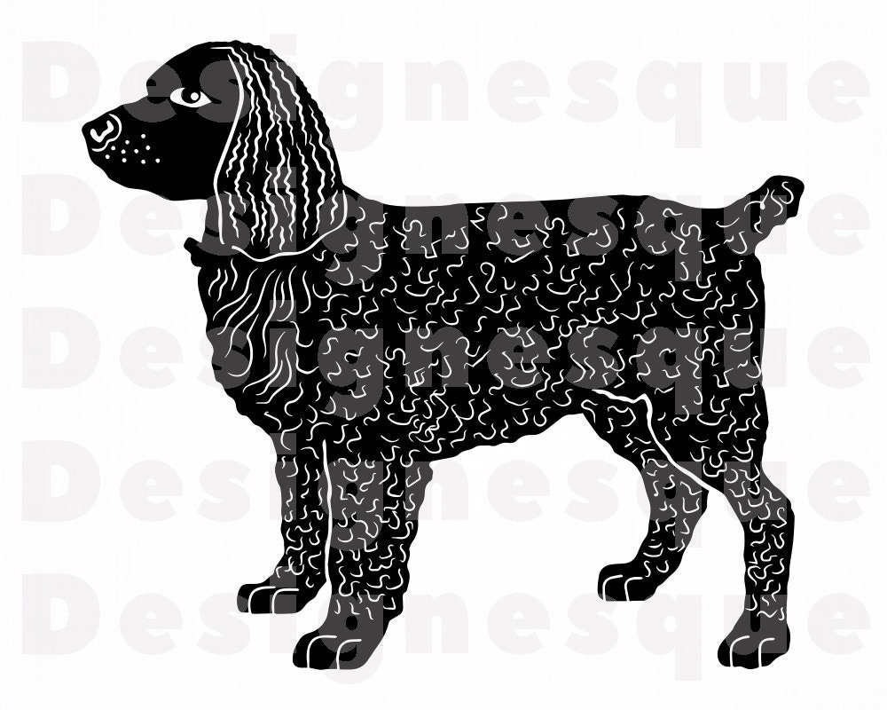 Boykin Spaniel SVG Dog Svg Boykin Spaniel Clipart Boykin | Etsy