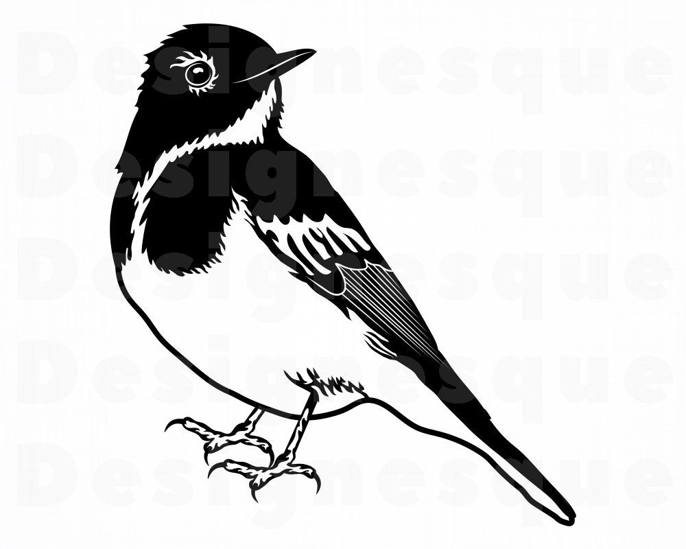 Blue Bird Svg _ Bluebird SVG Vectors and Icons – ABUFDM