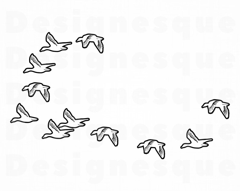 Flock Of Birds Outline SVG Birds SVG Birds Clipart Birds | Etsy