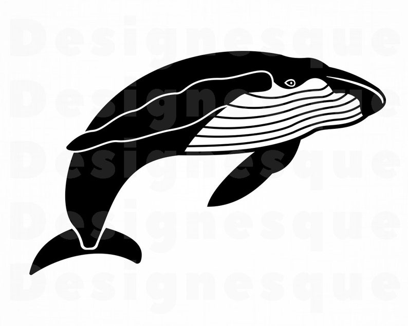 Humpback Whale SVG Humpback Whale Clipart Humpback Whale | Etsy