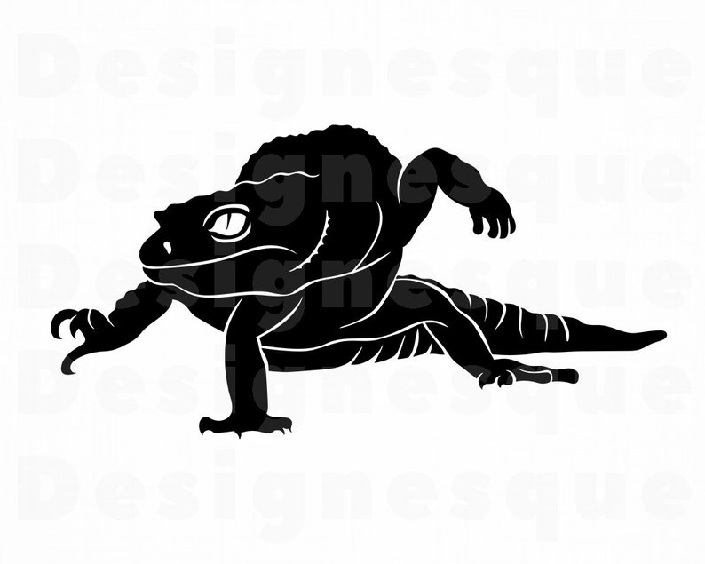 Lizard 6 SVG Lizard Svg Reptile Svg Lizard Clipart Lizard | Etsy
