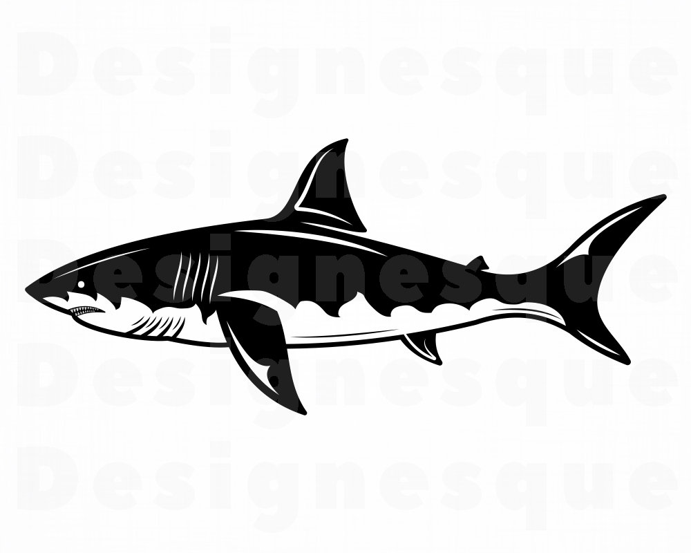 Vector Shark Cut Files For Silhouette Eps Shark Files for Cricut Shark ...