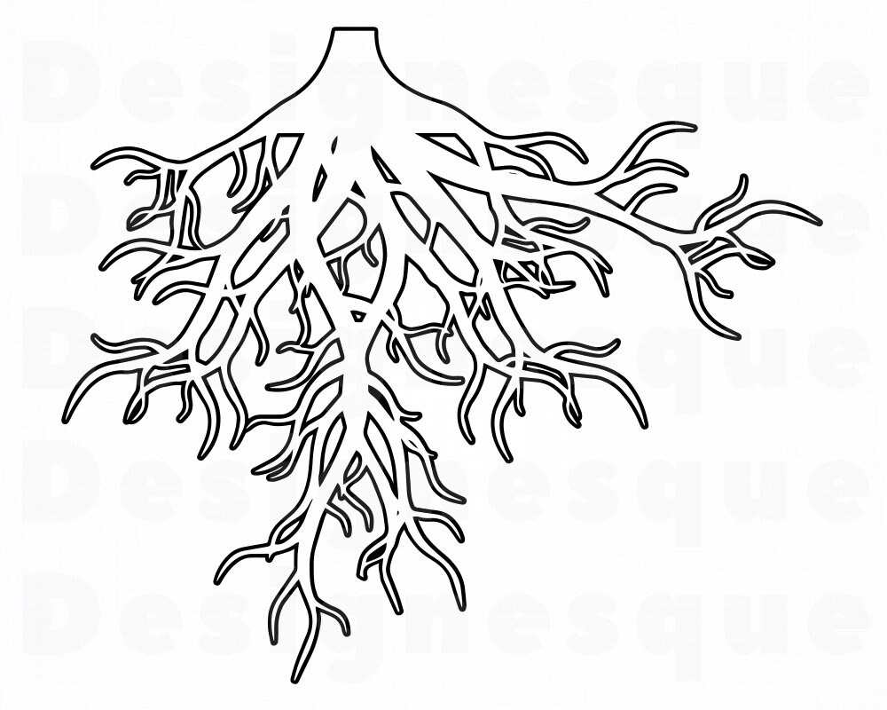 Roots Outline 3 SVG Roots SVG Tree Roots Svg Family Svg | Etsy