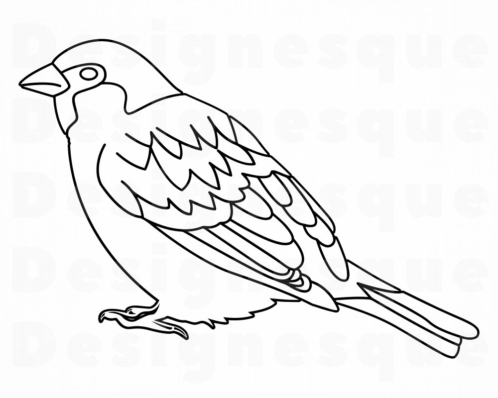 Sparrow Outline 2 SVG Sparrow SVG Bird Svg Sparrow | Etsy