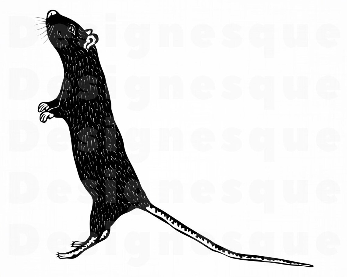Rat 5 SVG Rat Svg Rodent Svg Rat Clipart Rat Files for | Etsy
