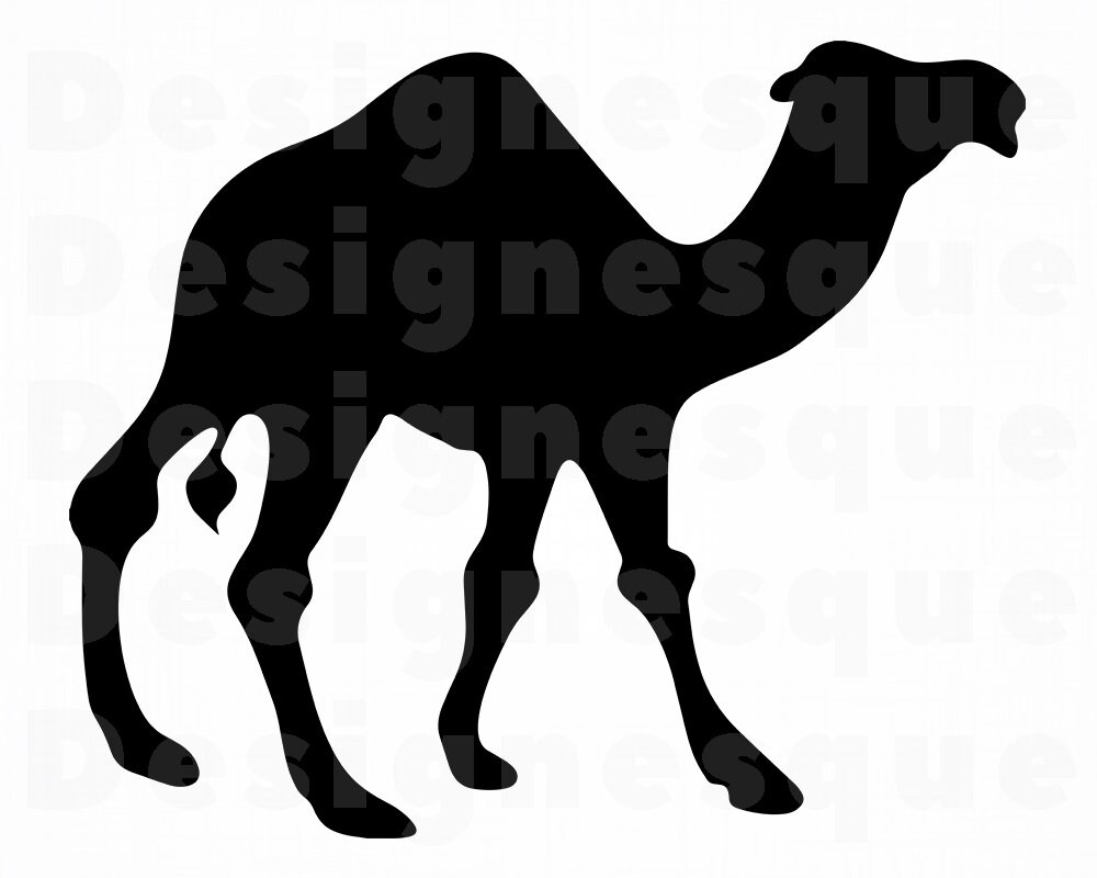 Camel Vector Camel Svg Camel #3 SVG Camel Png Camel Clipart Camel Cut ...