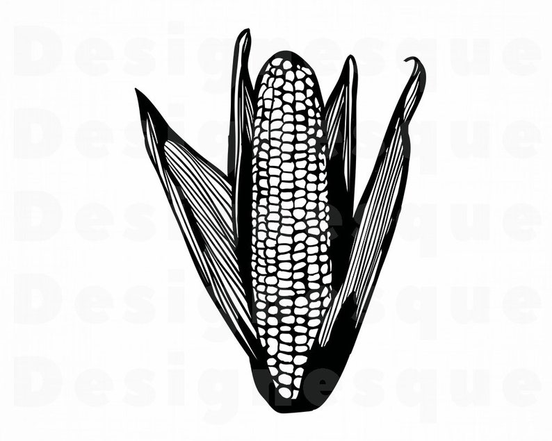 Farming Svg Corn Dxf Corn Vector Corn Clipart Corn Cut Files For ...