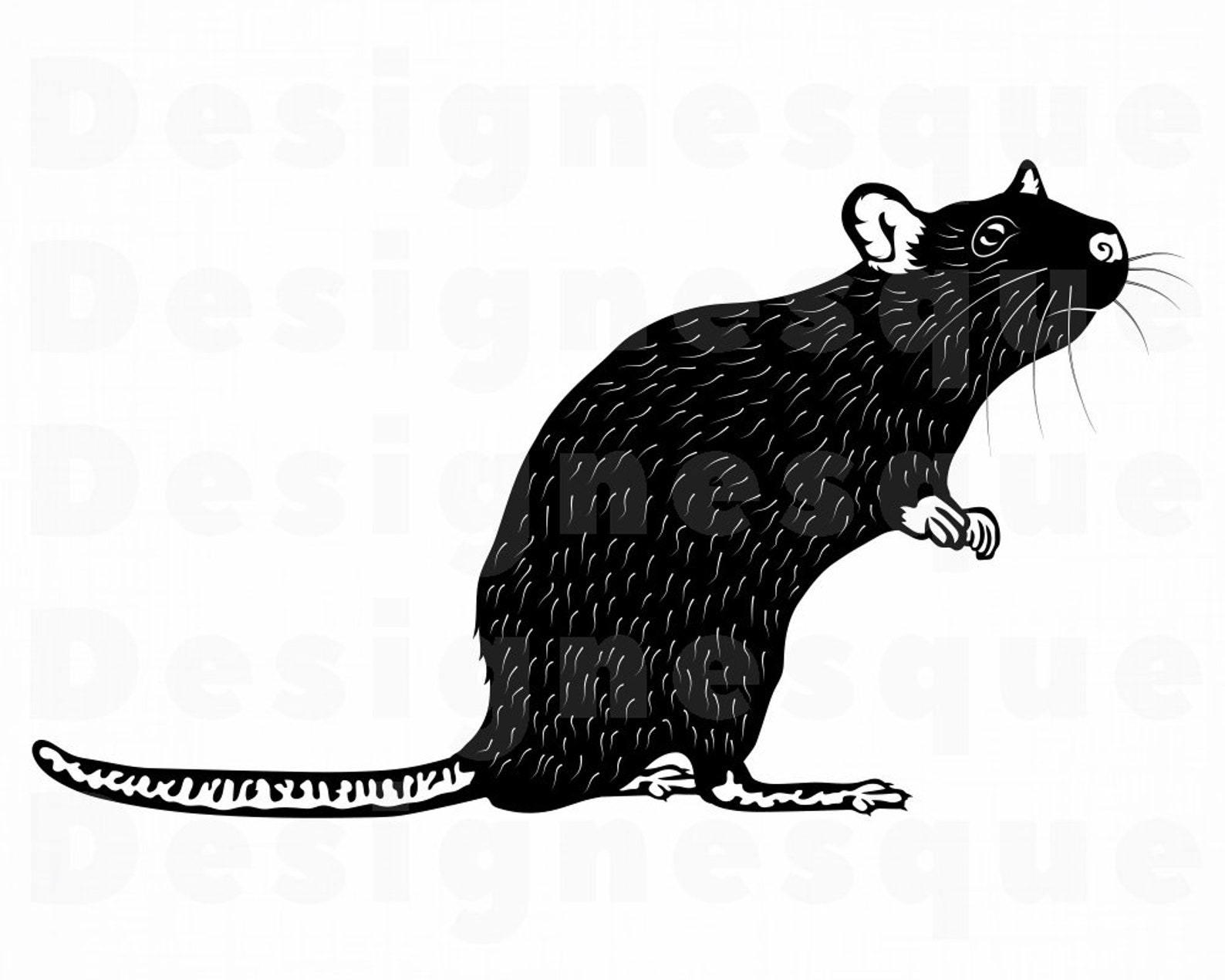 Rat 3 SVG Rat Svg Rodent Svg Rat Clipart Rat Files for | Etsy