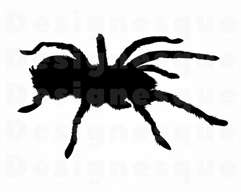 Tarantula 4 SVG Tarantula SVG Spider Svg Tarantula | Etsy