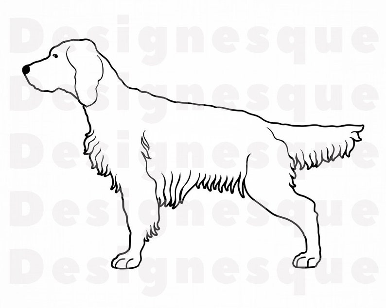 English Setter Outline SVG Dog Svg English Setter Clipart | Etsy UK