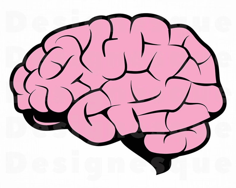 Brain Png Brain Vector Brain Dxf Mind Svg Brain Eps Brain SVG Brain ...