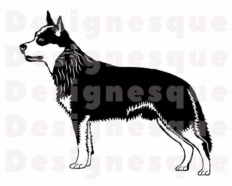 Australian Stumpy Tail Cattle Dog SVG Dog Svg Clipart Files | Etsy