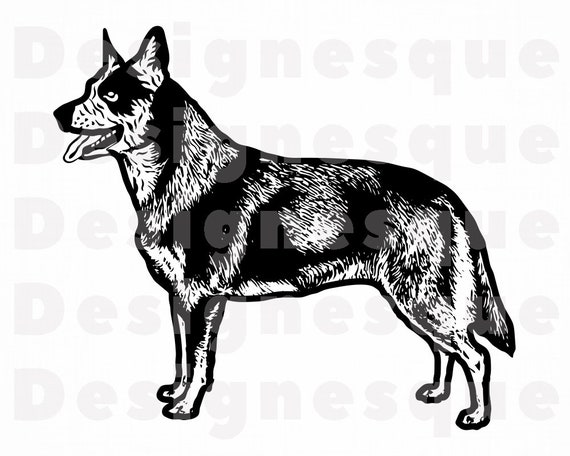 Blue Heeler Dog Svg - Kolejowy Swiat