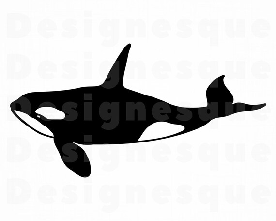 Orca Cut Files For Silhouette Killer Whale #4 SVG Killer Whale Clipart Dxf Png Eps Killer Whale ...