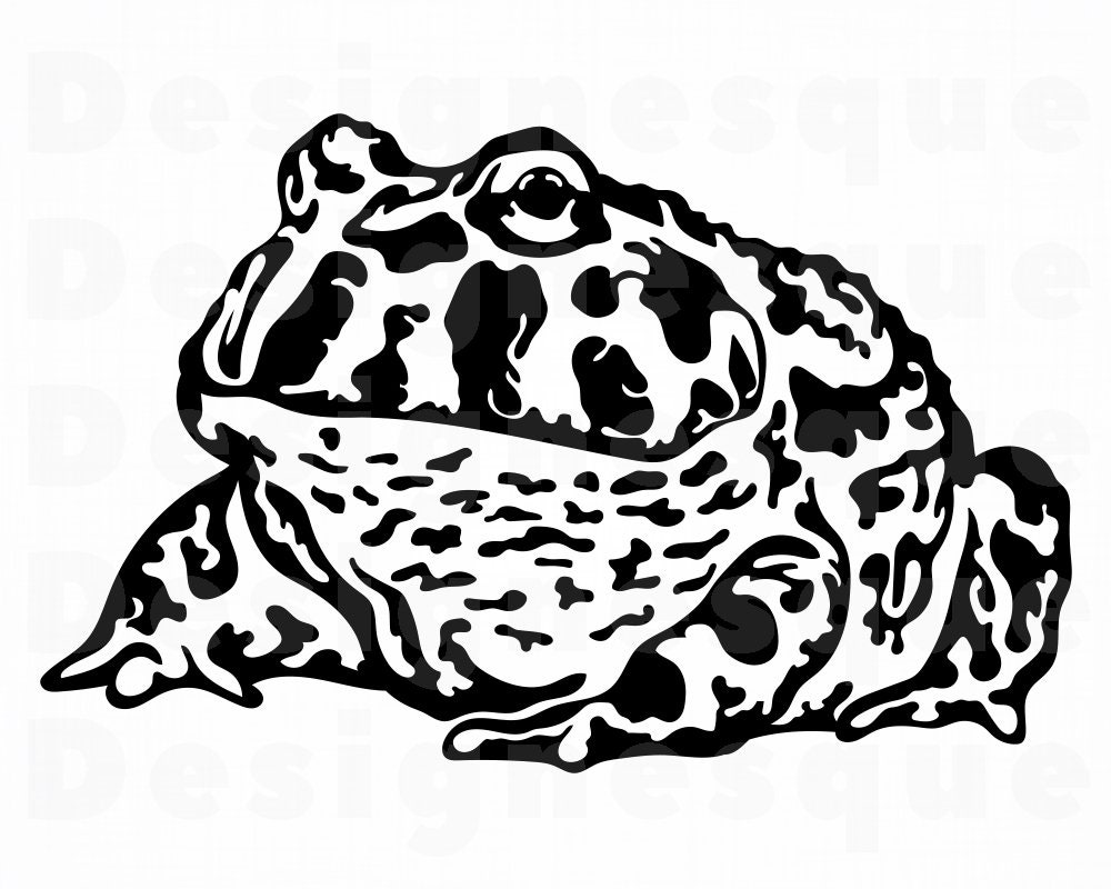 Frog Png Frog Clipart Frog Files for Cricut Frog Vector Eps Frog Svg ...