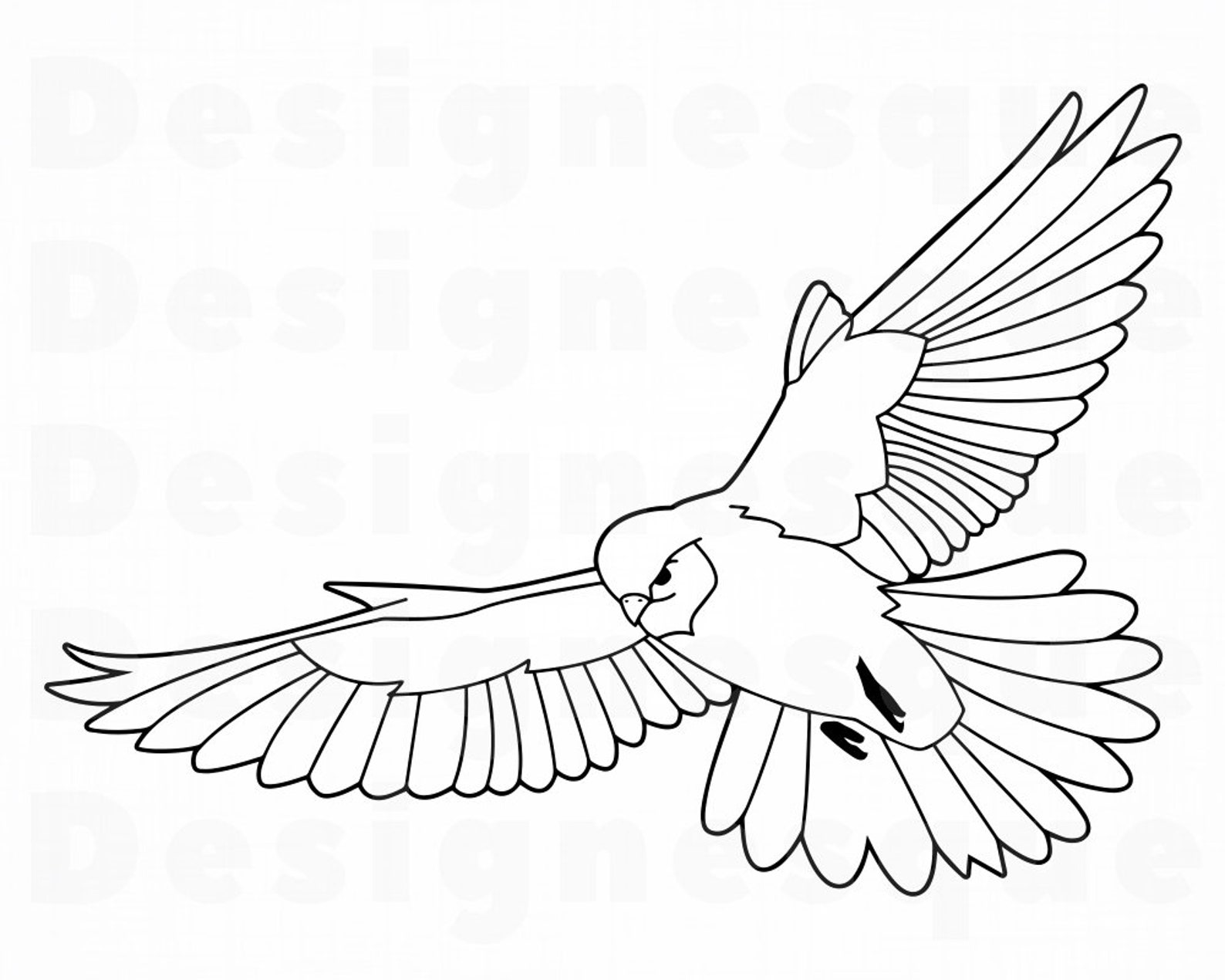 American Kestrel Drawing Sketch Coloring Page