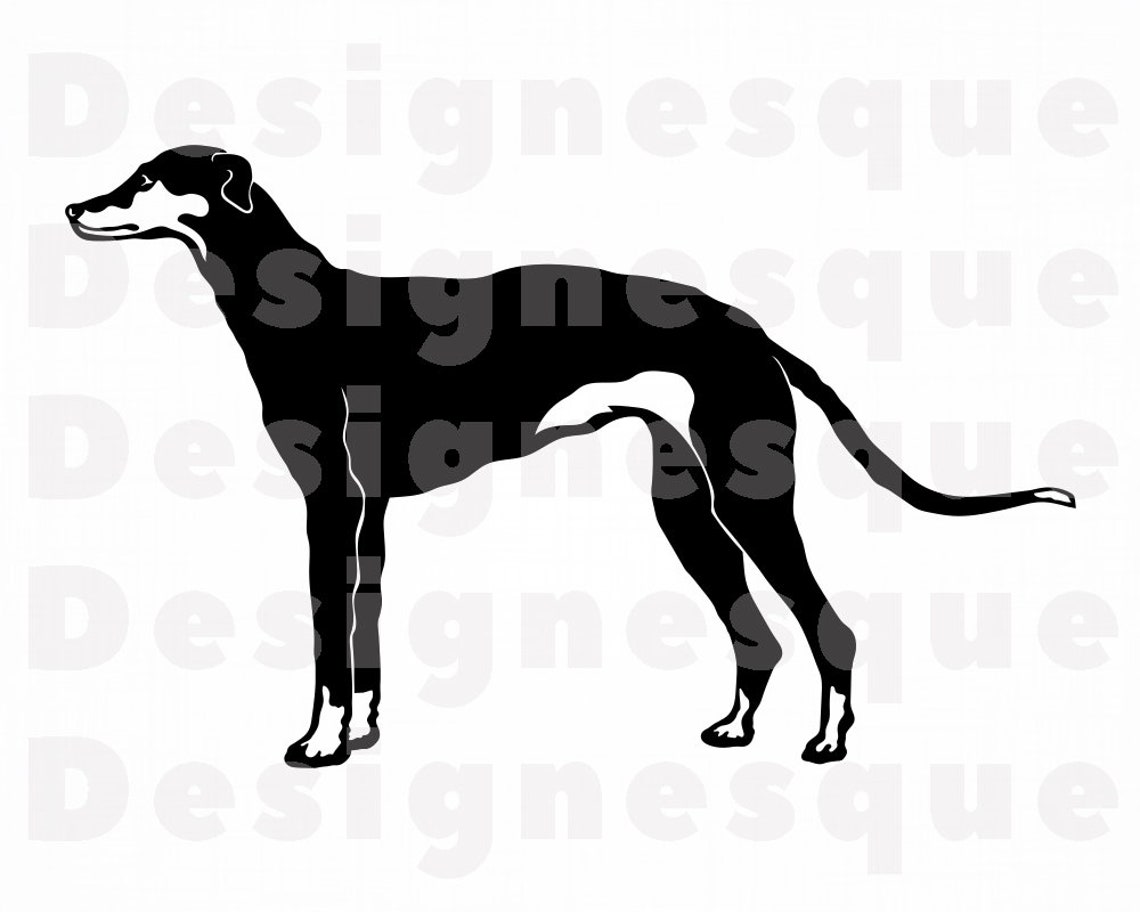 Greyhound 2 SVG Dog Svg Greyhound Clipart Greyhound Files | Etsy