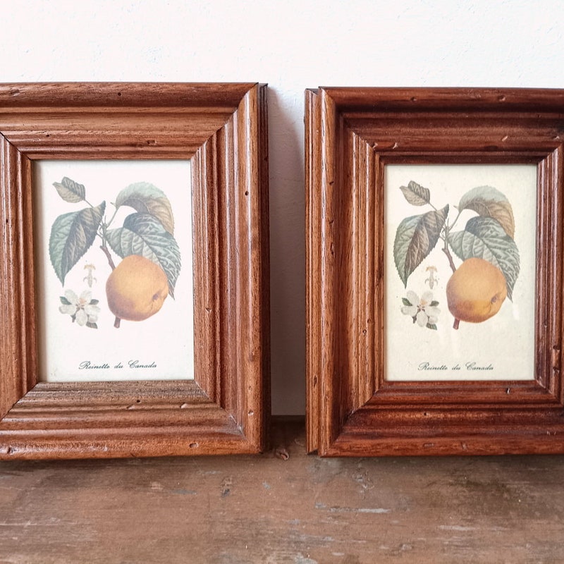 Apple Print - Etsy