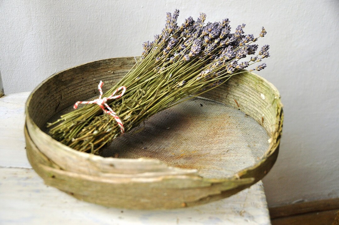 Vintage Wooden Sieve, Old Wooden Sifter, Primitive Bentwood Old ...