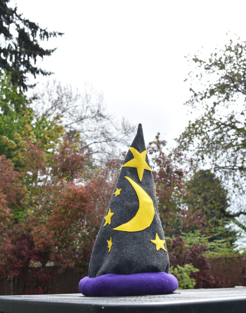 Wizard Hat Felt Dress up Cosplay Costume + Petrosilius Zwackelmann From ...