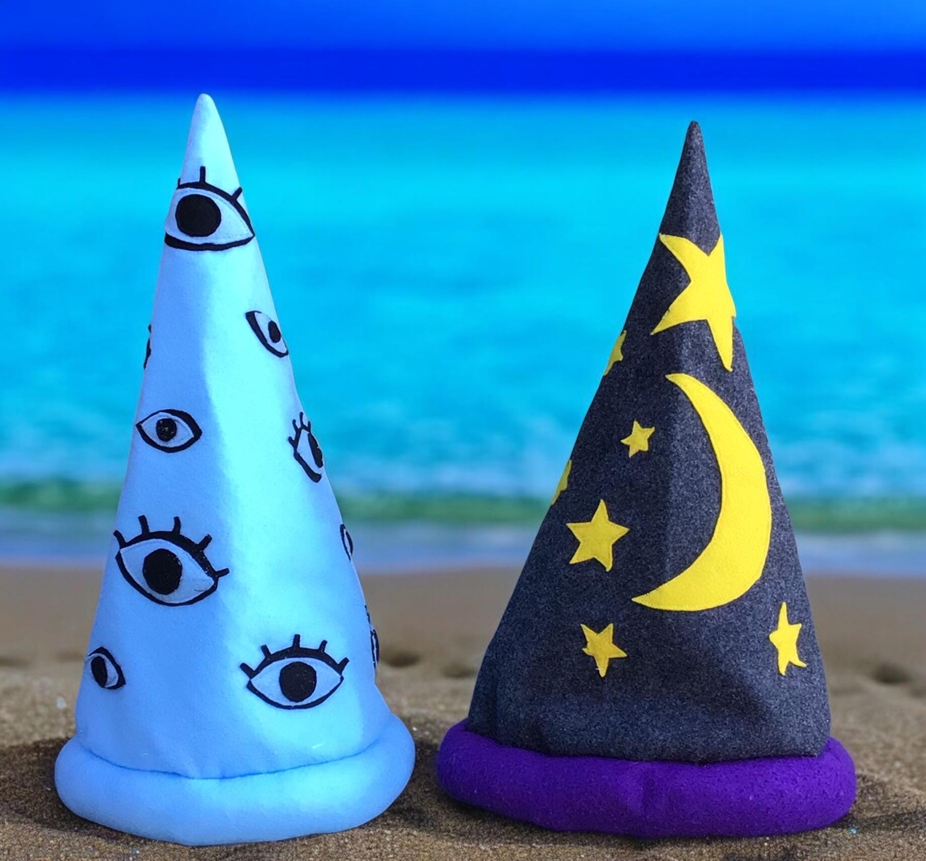 Wizard Hat Felt Dress up Cosplay Costume Petrosilius Zwackelmann From ...